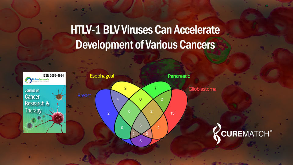 CureMatch Co-Founder Shares Findings HTLV-1 BLV Viruses Can Accelerate ...